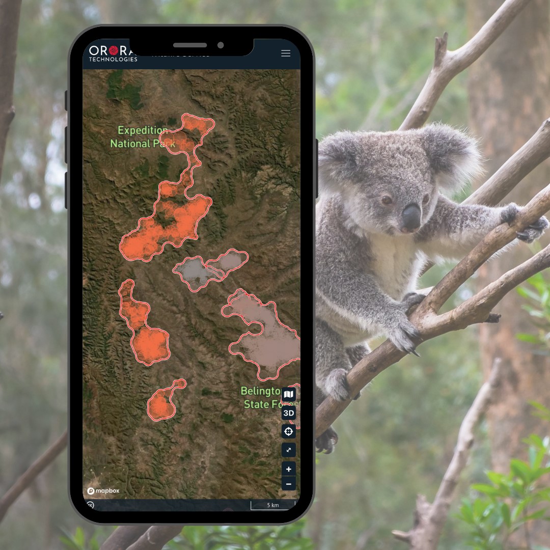 OroraTech Wildfire Solution (satellite-based wildfire detection and ...