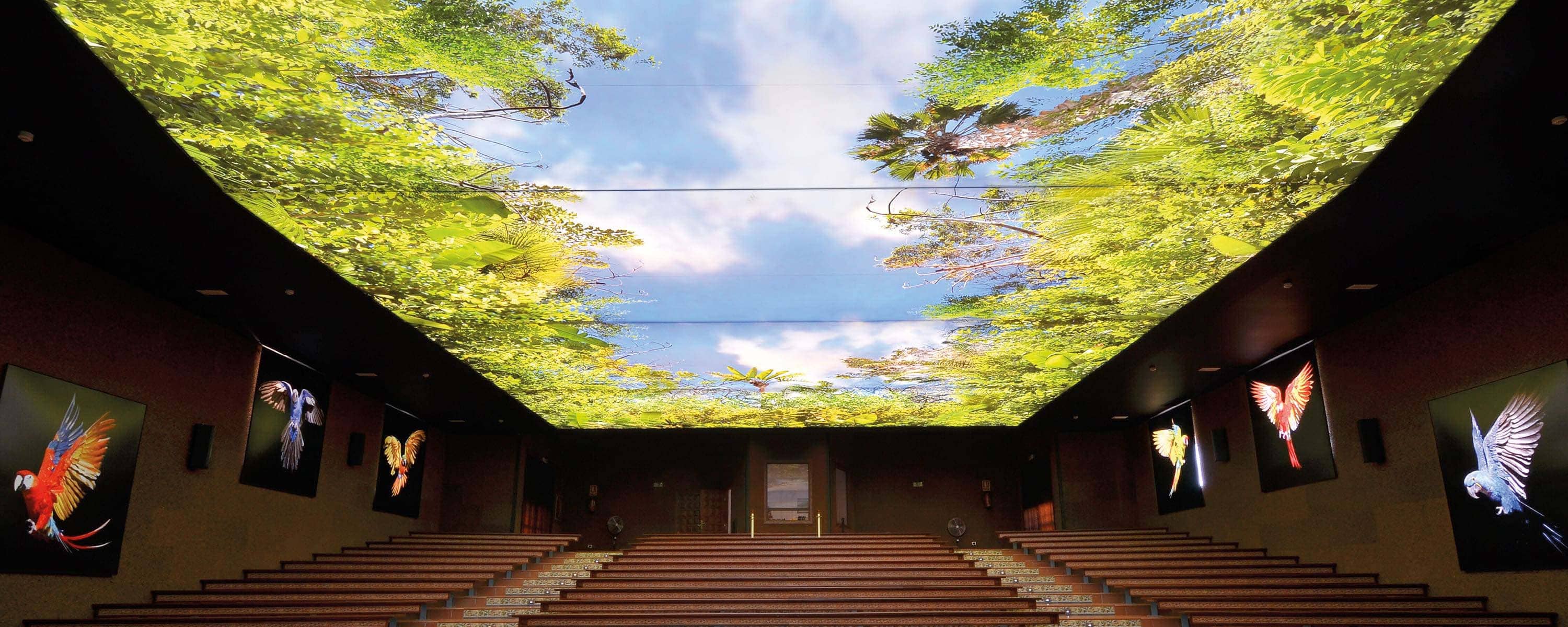 Biowood® stretch ceiling system | BIP
