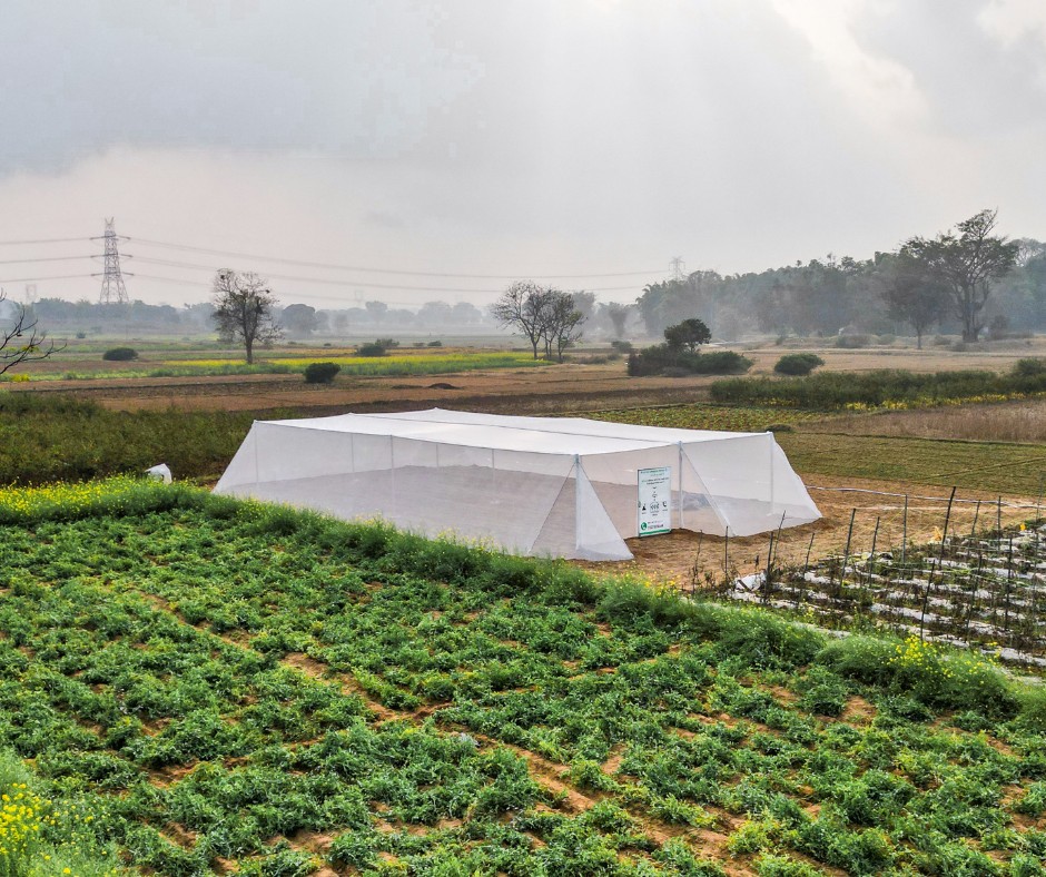 Greenhouse‑in‑a‑Box | BIP